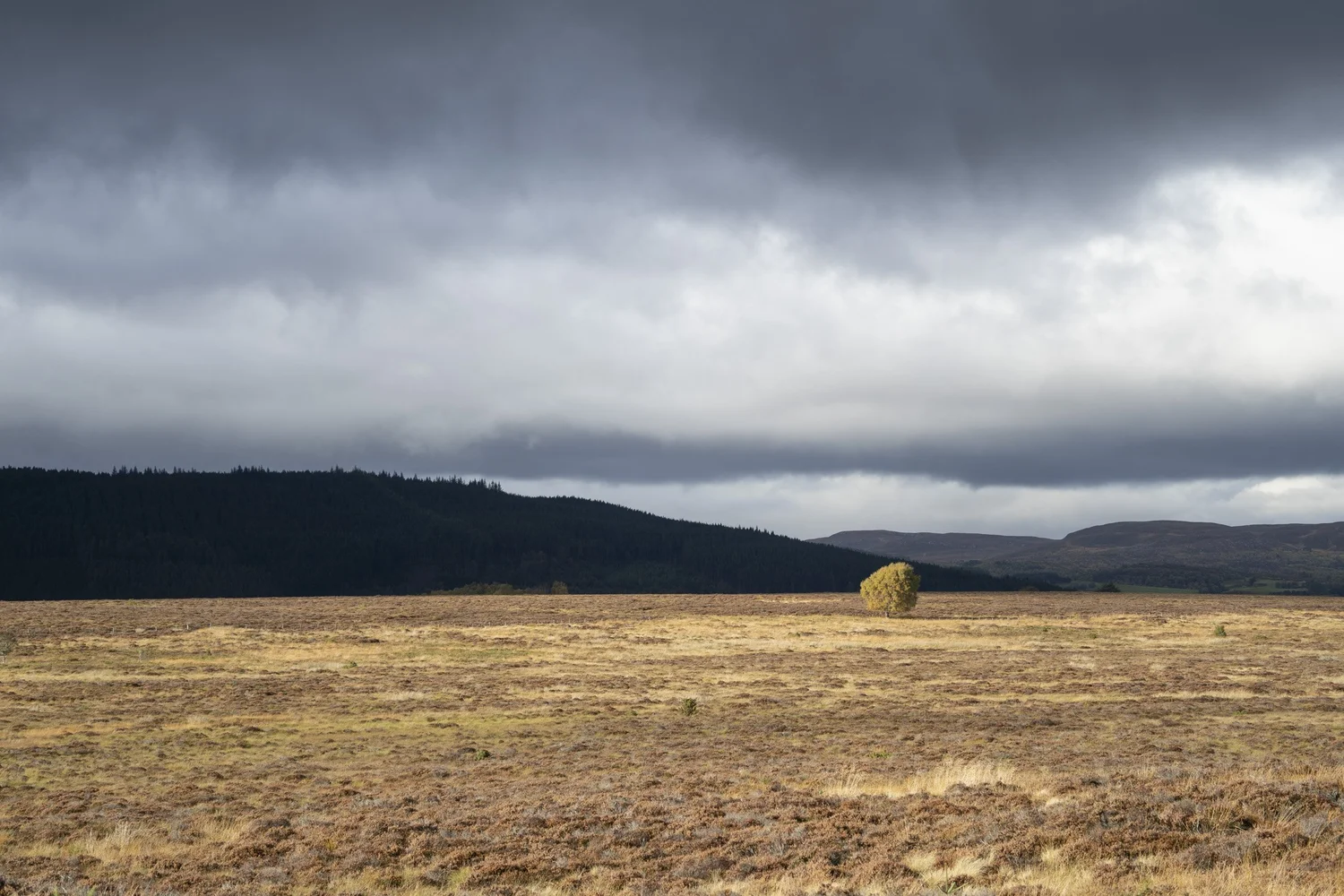 Bunloit Estate — Highlands Rewilding