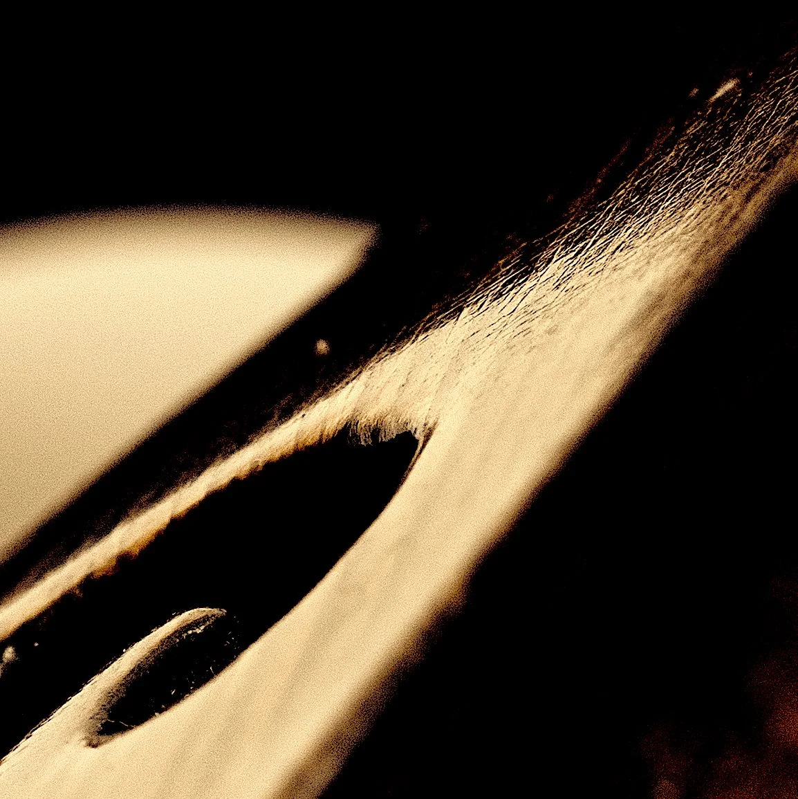 David Bowlin, violin & Tony Cho, piano