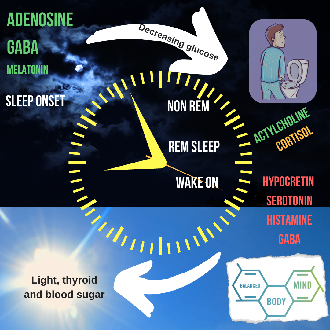 Sleep, stress, sugar. Eat sugar for better sleep. — Balanced Body Mind