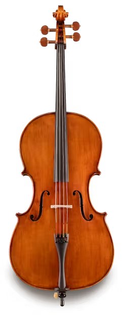 Claude Gillioz Cello 1985 Geneva | Blackerby Violin Shop