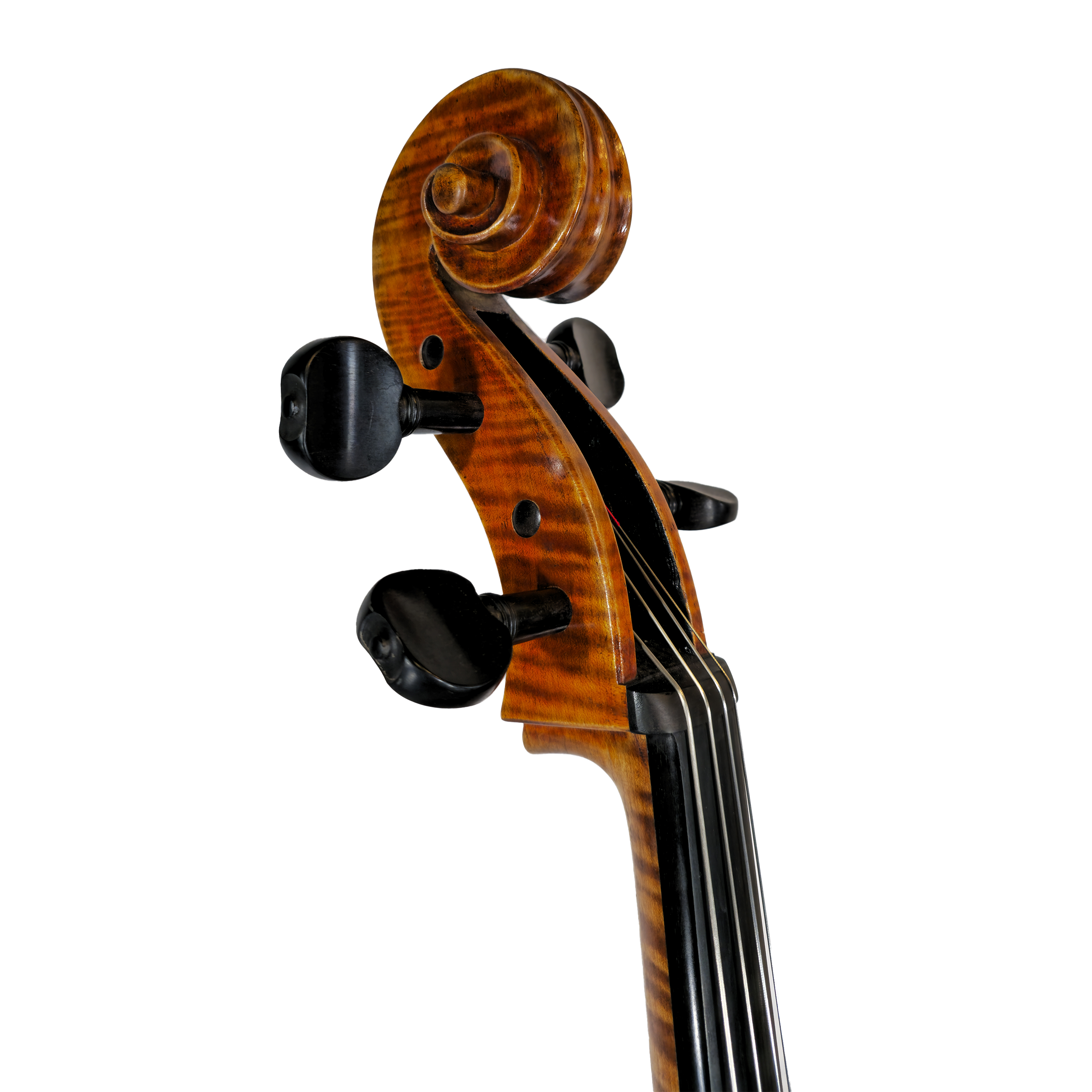 Shop Cellos | Blackerby Violin Shop