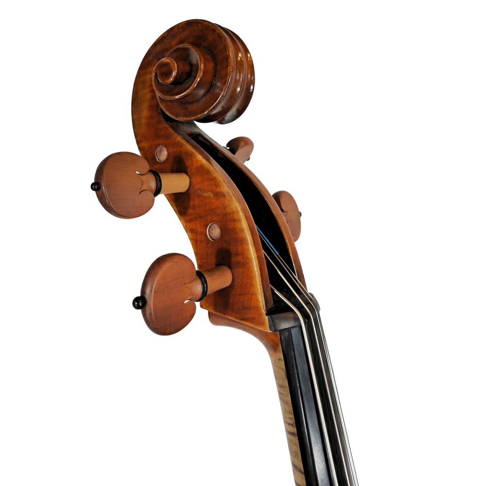 Shop Cellos | Blackerby Violin Shop