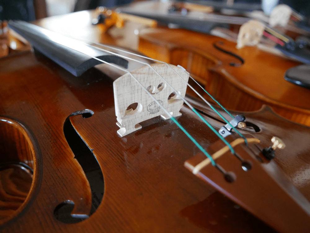 Shop Violas | Blackerby Violin Shop