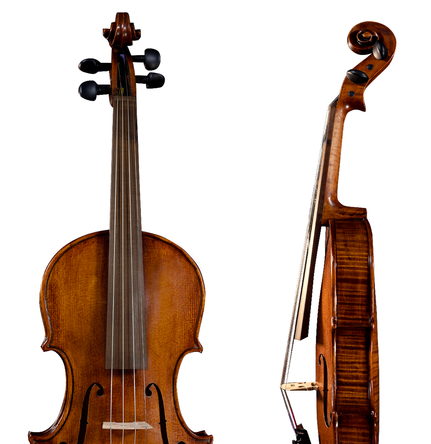 Blackerby Violin Shop | Austin Texas's Original String Shop