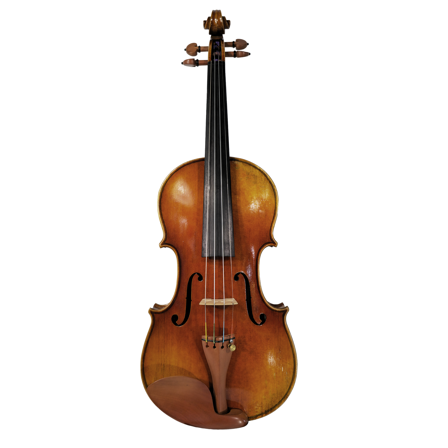 Shop Violins | Blackerby Violin Shop