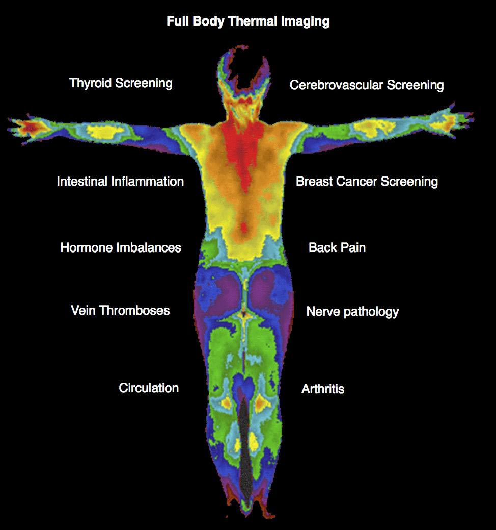 Better Body Thermography