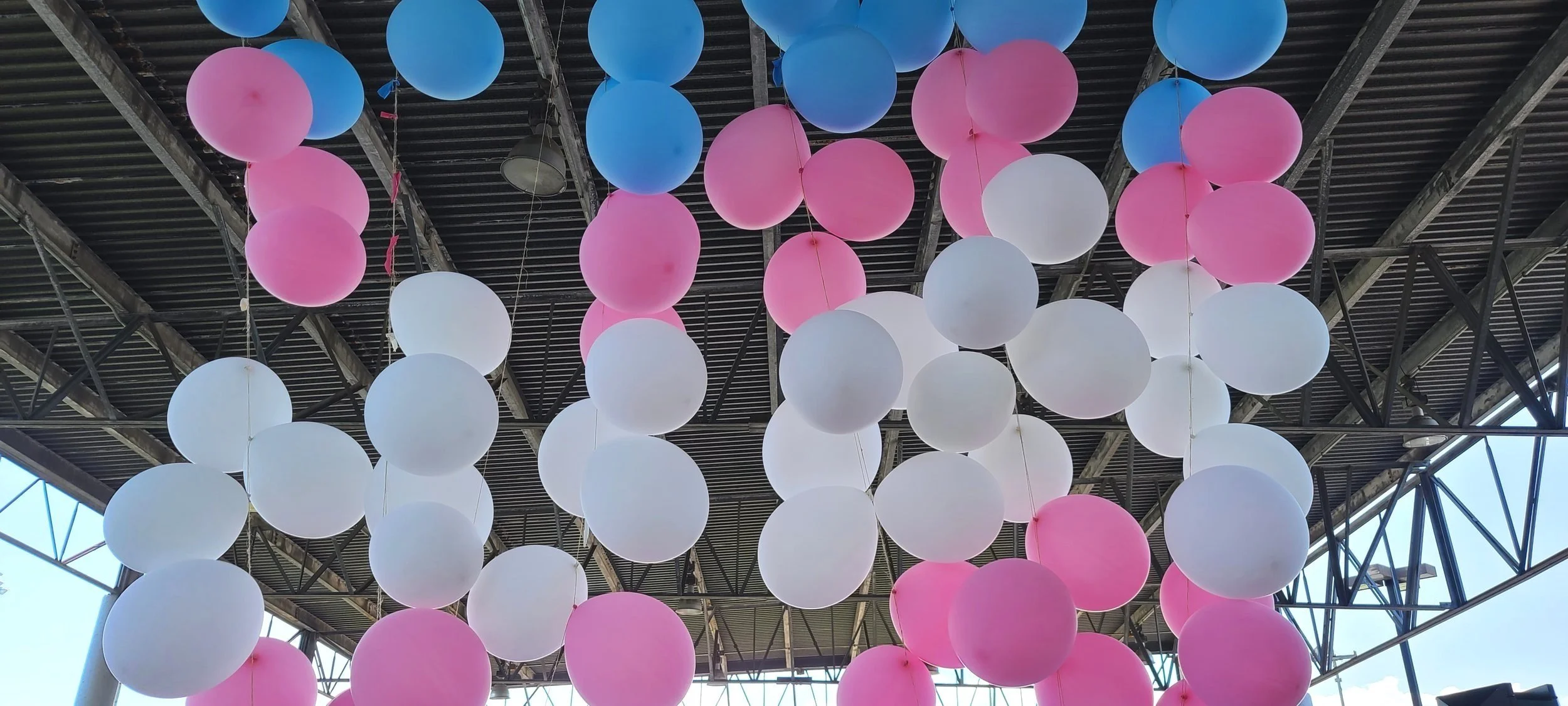 General 6 — Organizacion Latina Trans in Texas