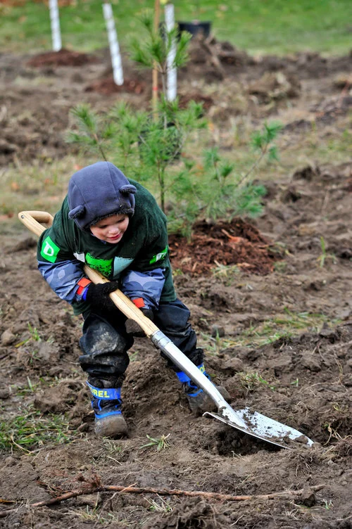 Why Trees More Facts — Canadian Trees for Life