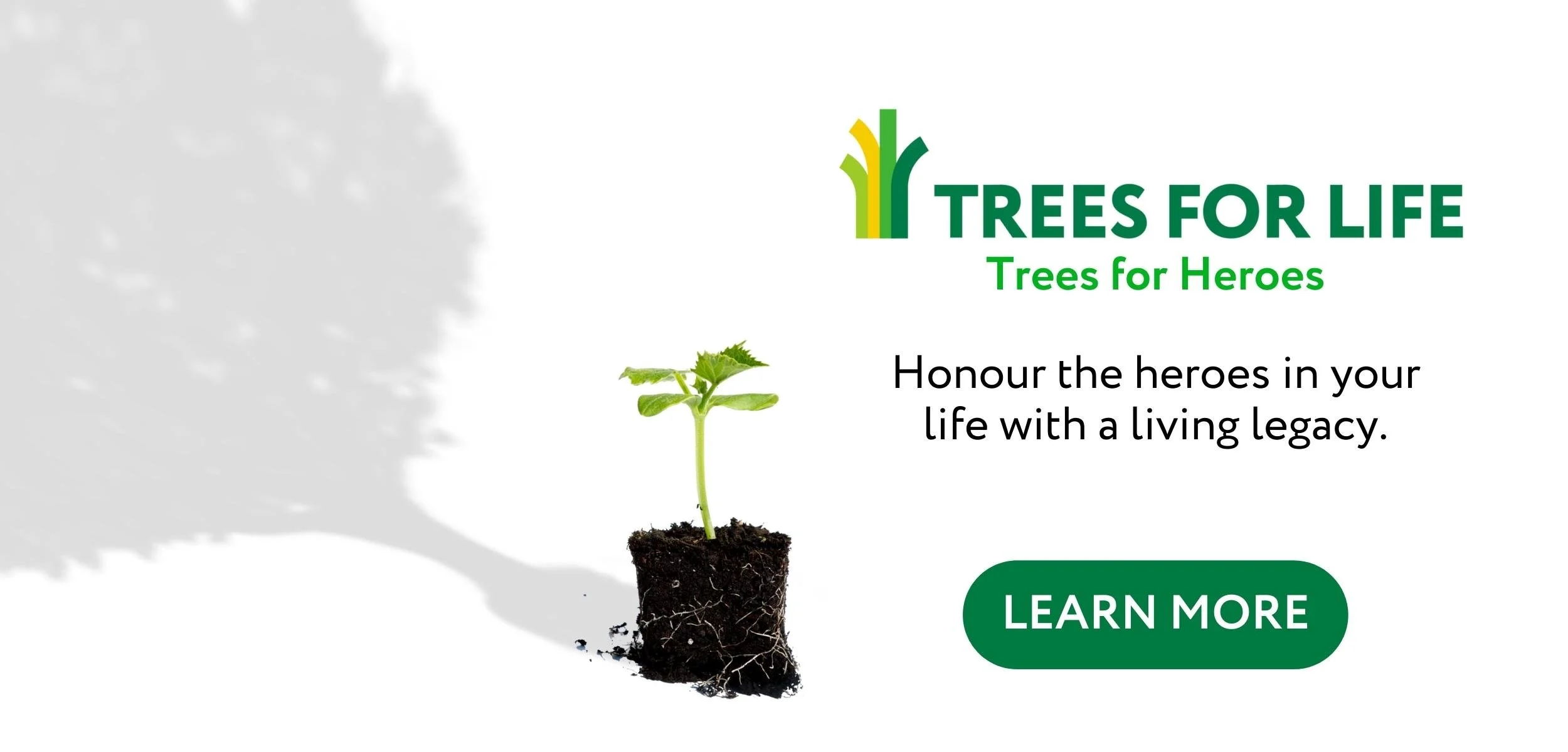 Canadian Trees for Life (Copy)
