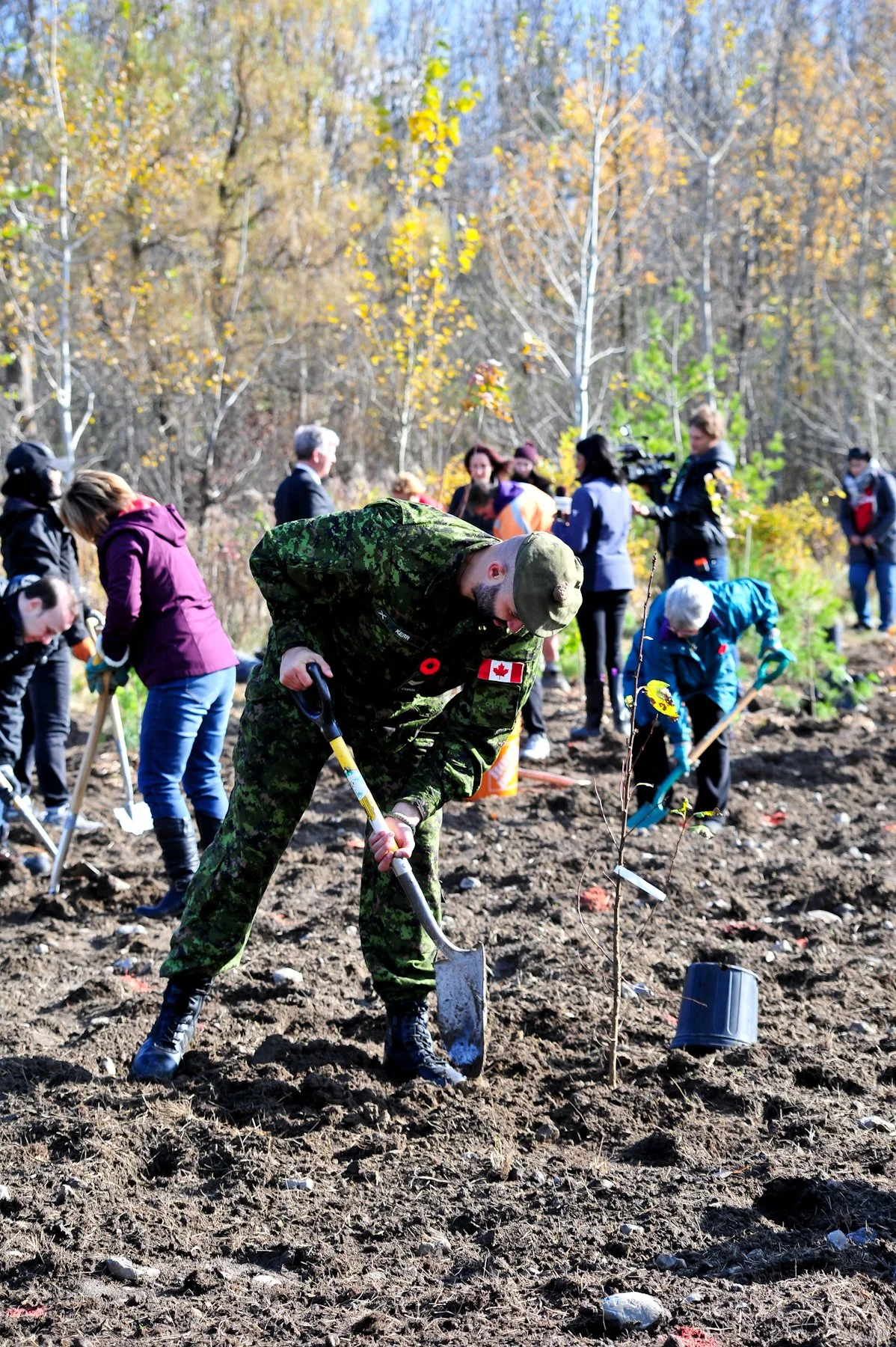 Blog 3 — Canadian Trees for Life