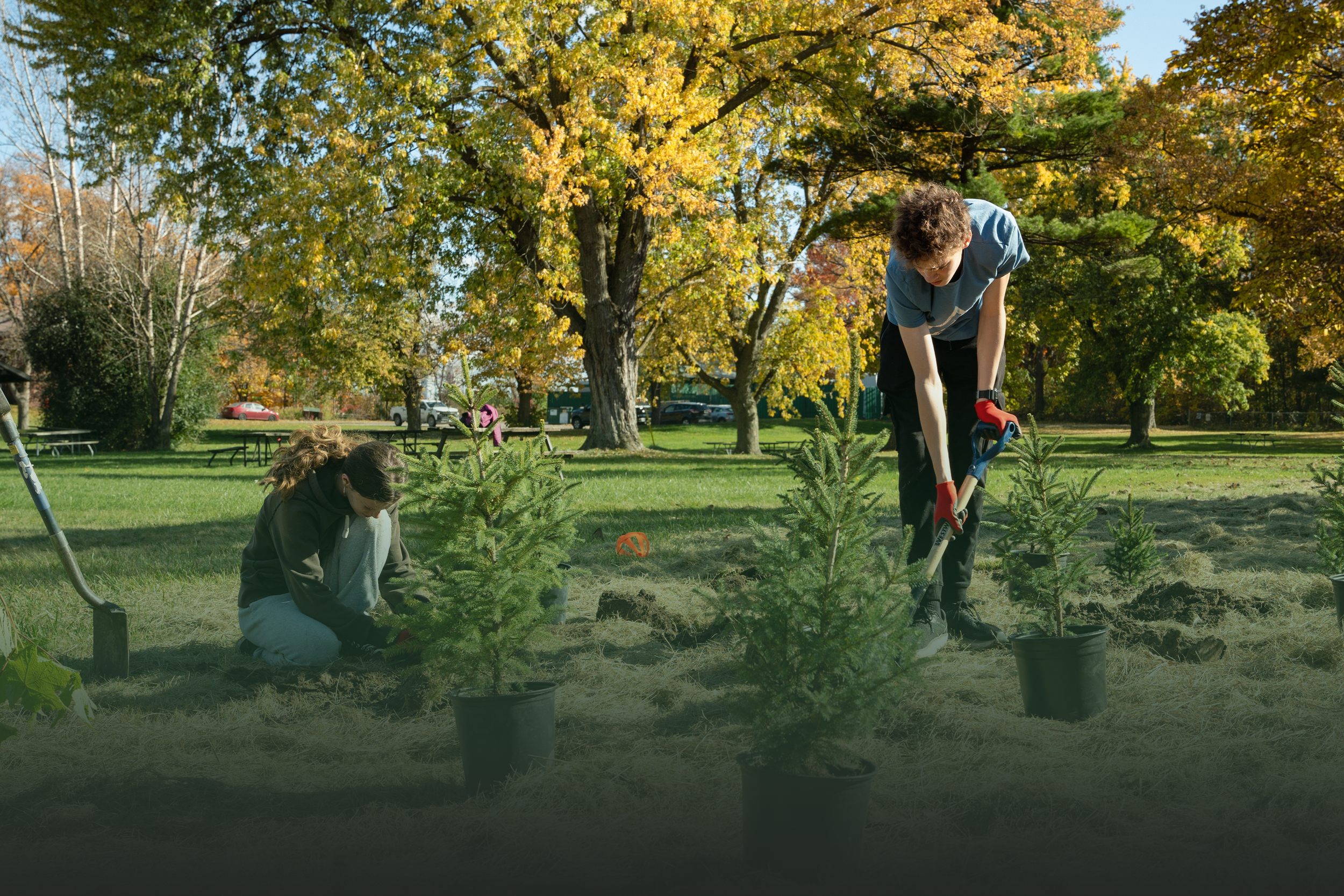 Canadian Trees for Life
