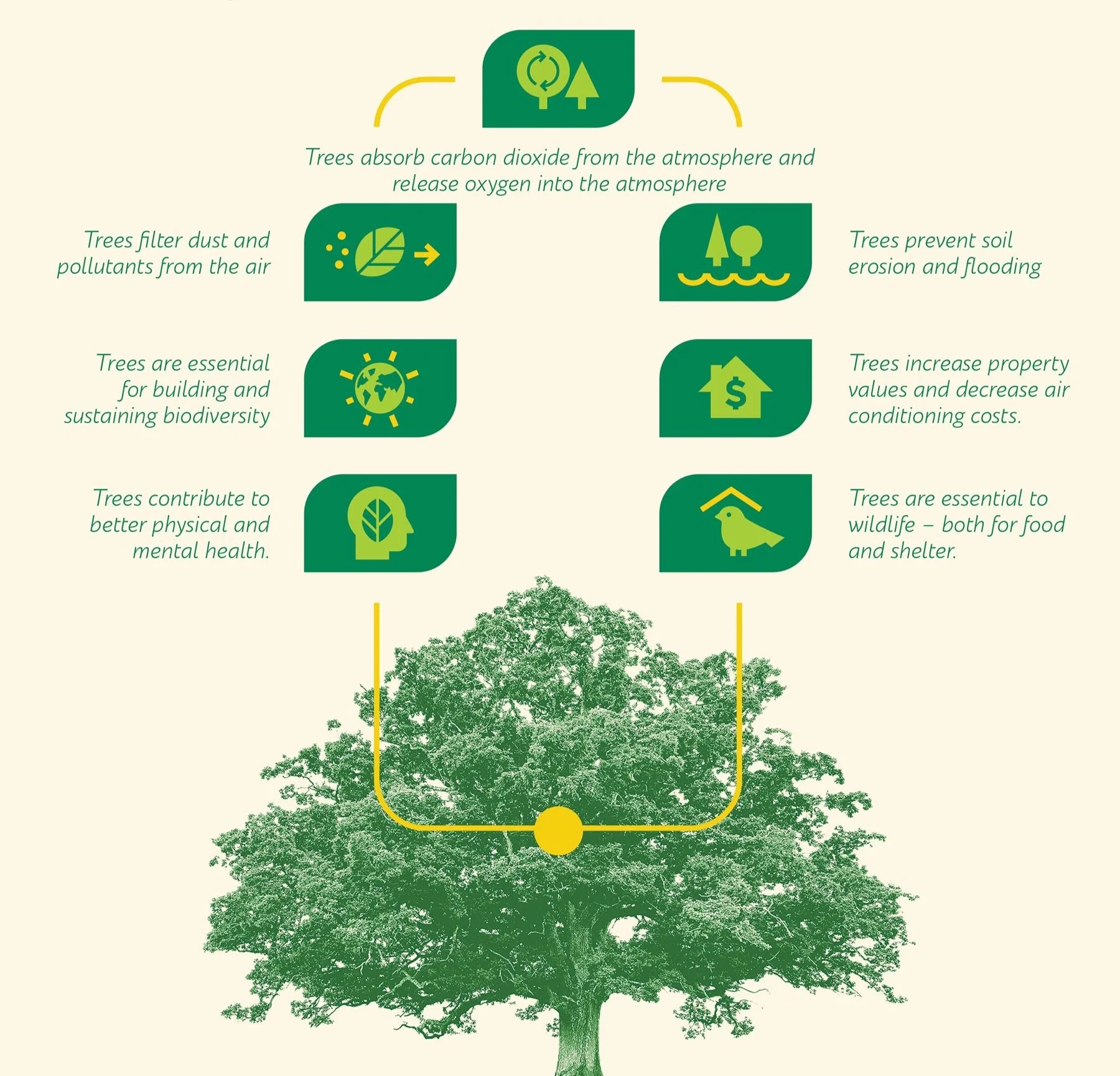 Why Trees — Canadian Trees for Life