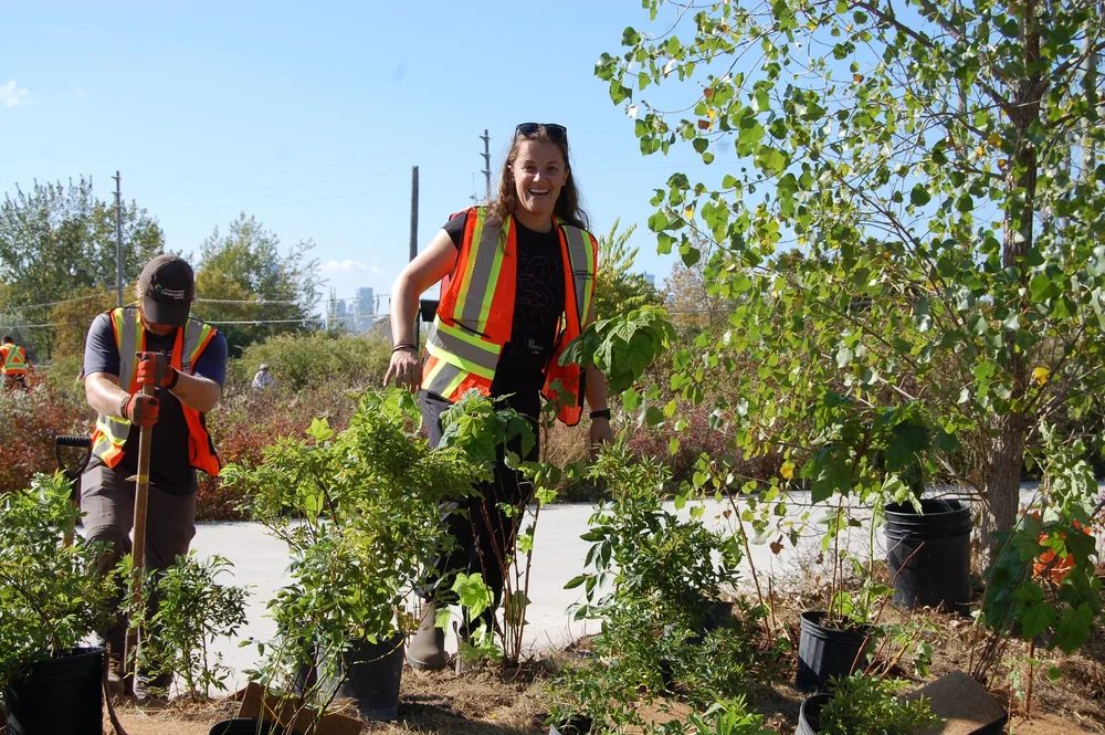Projects — Canadian Trees for Life