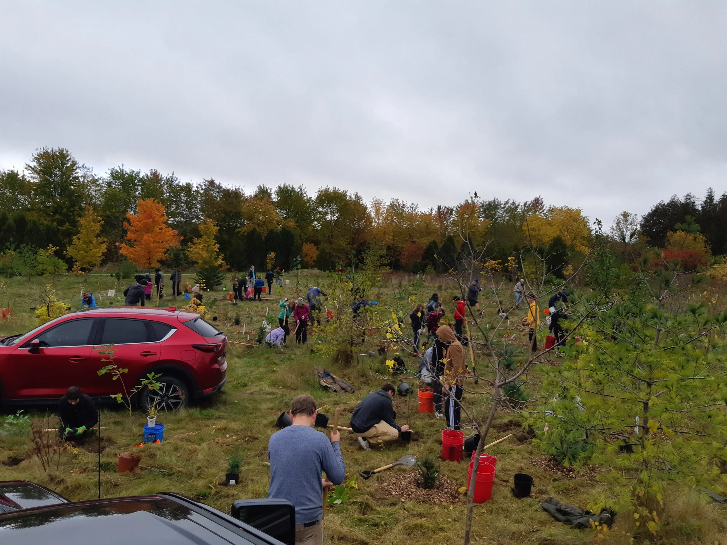 Community Tree Planting in Guelph — Canadian Trees for Life