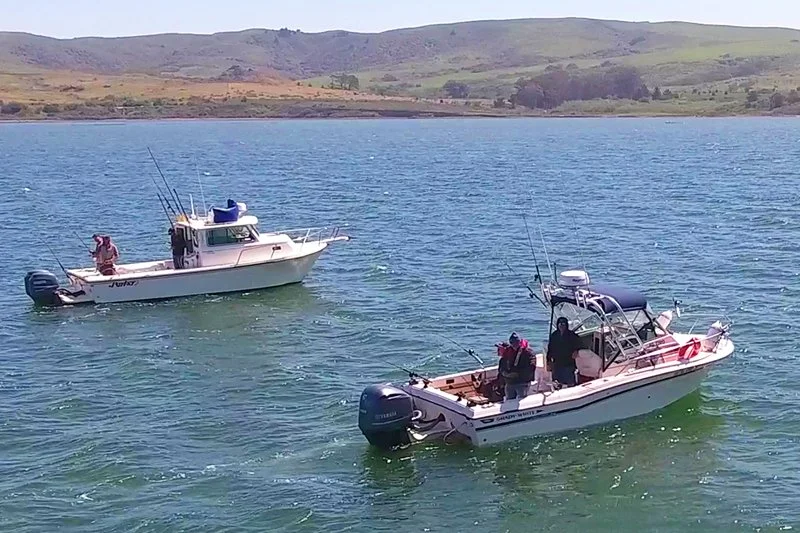 Activities — Nick's Cove Tomales Bay