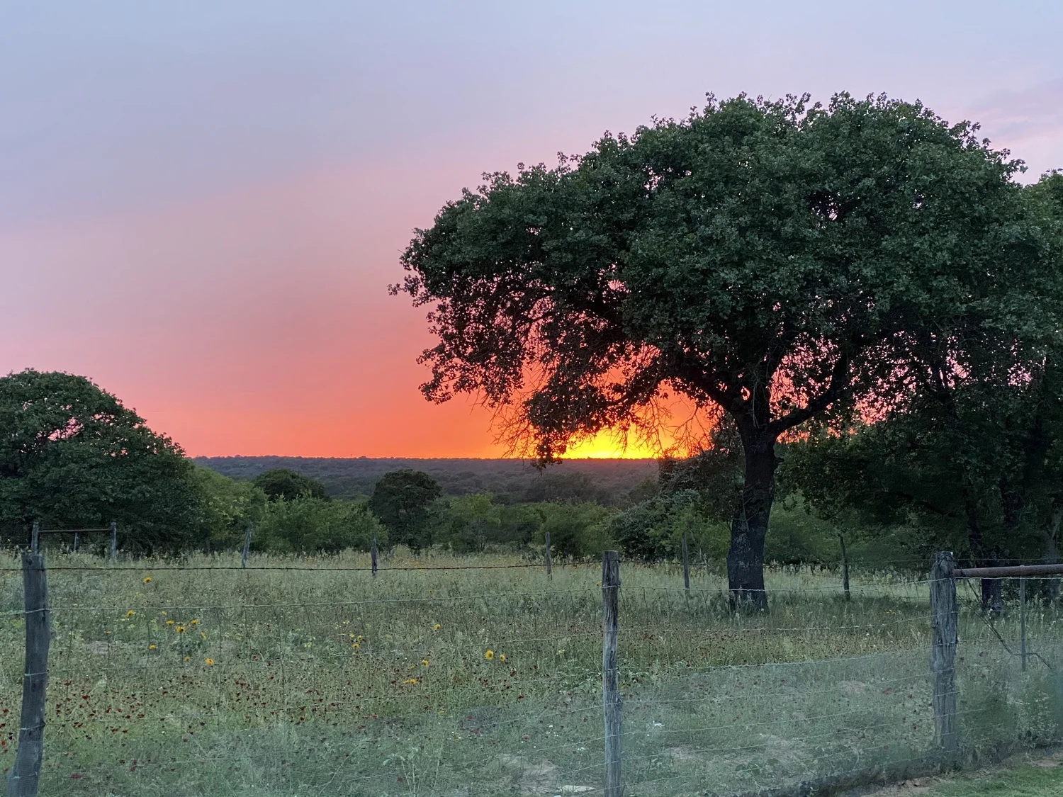 Brush Country Real Estate