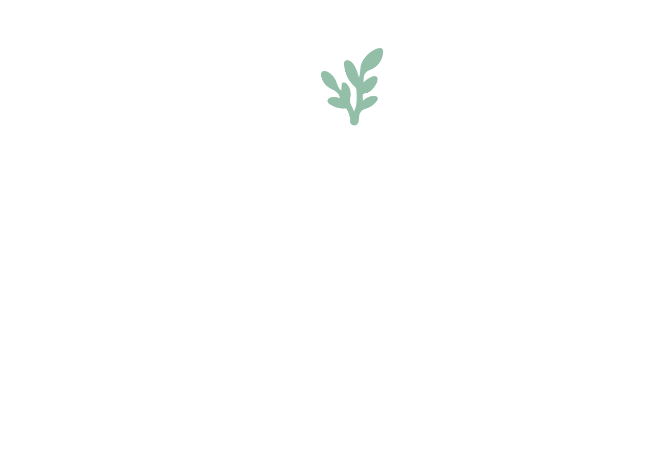 Designs by Drew