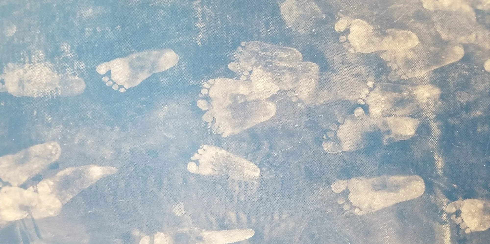 Metro Gymnastics Center - Where kids get a jump on life!