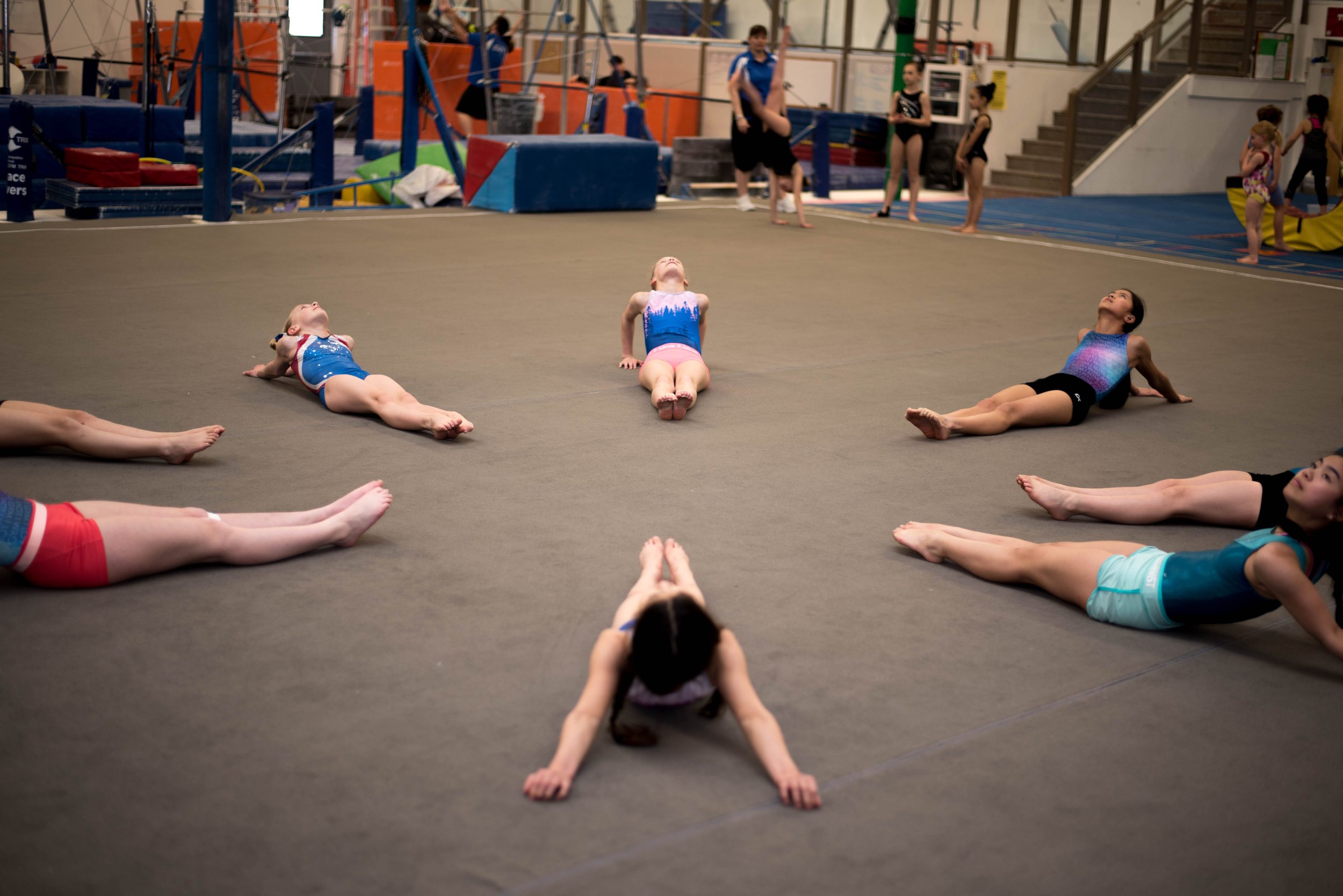 Photos from Metro Gymnastics — Metro Gymnastics Center