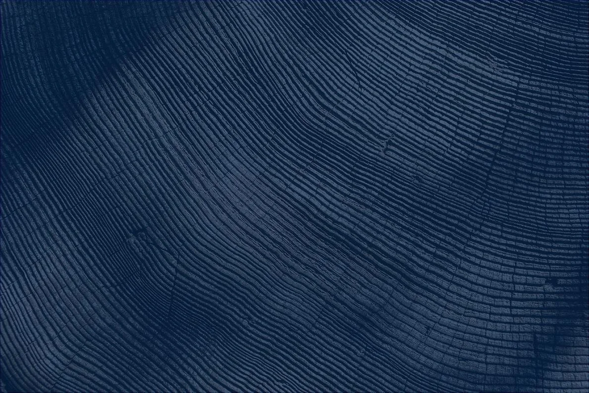 Blue Ox Mill General Store