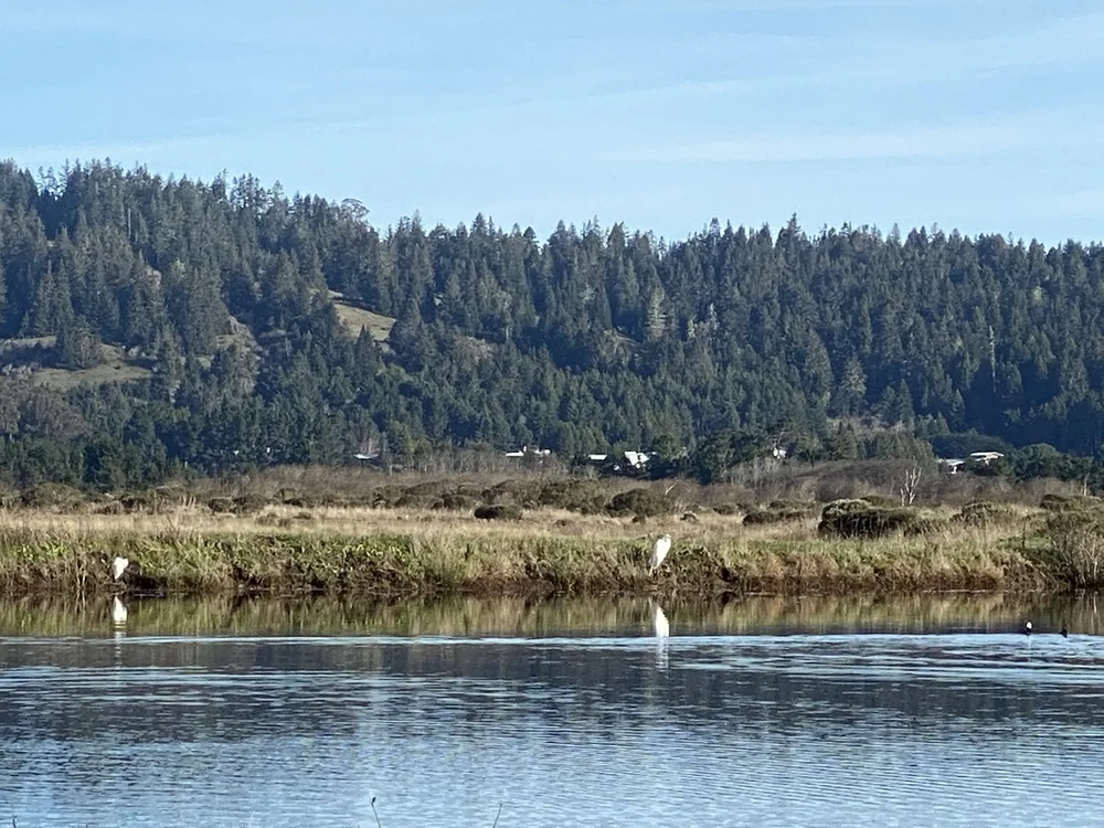 About the Hollenbecks — Blue Ox Mill General Store