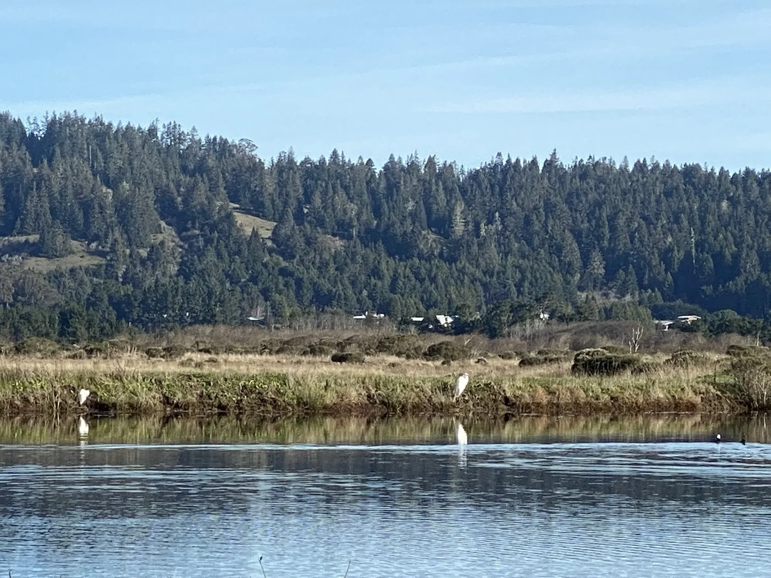 About the Hollenbecks — Blue Ox Mill General Store