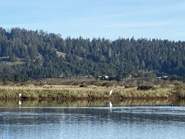 About the Hollenbecks — Blue Ox Mill General Store