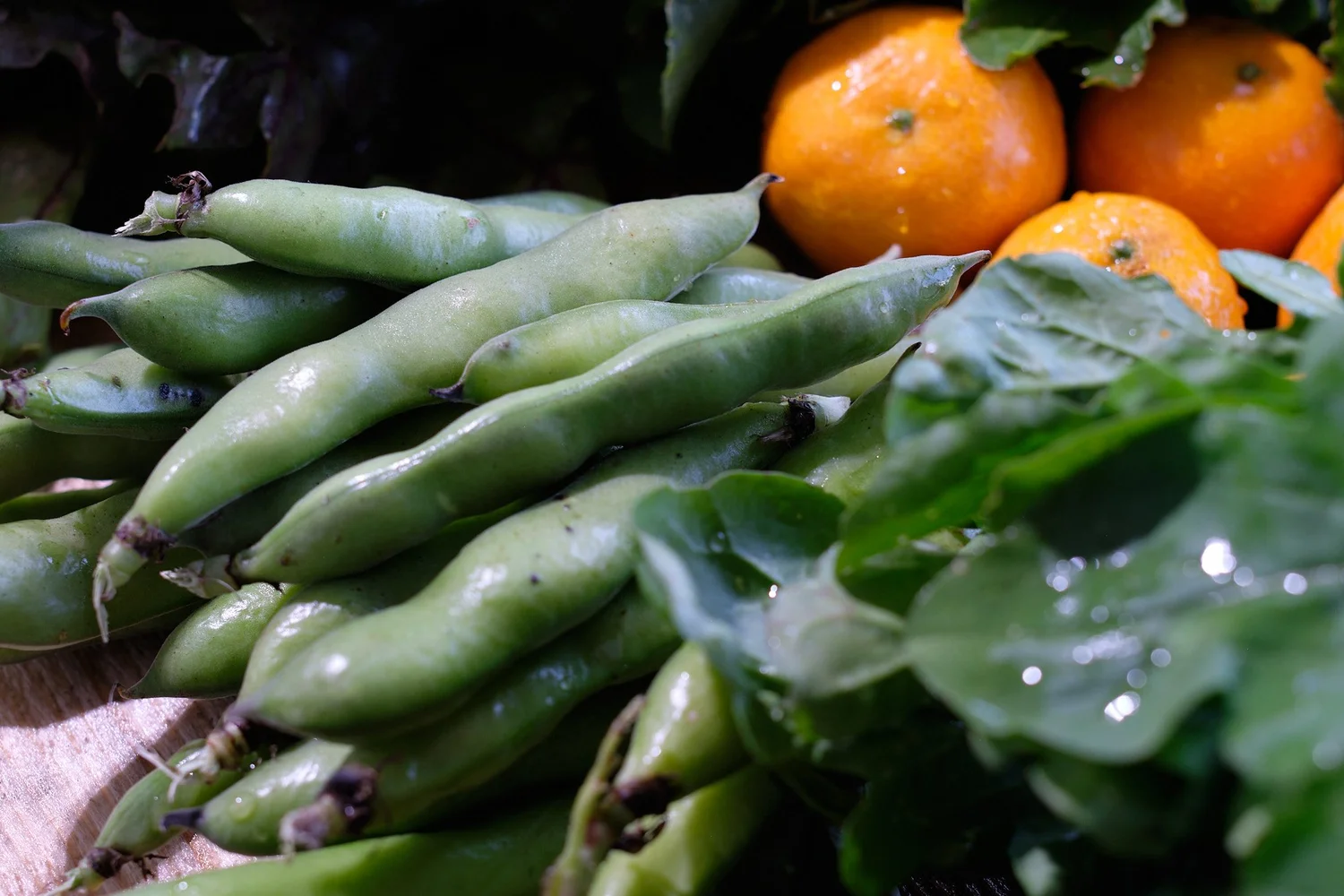 About — Stehly Farms Organics