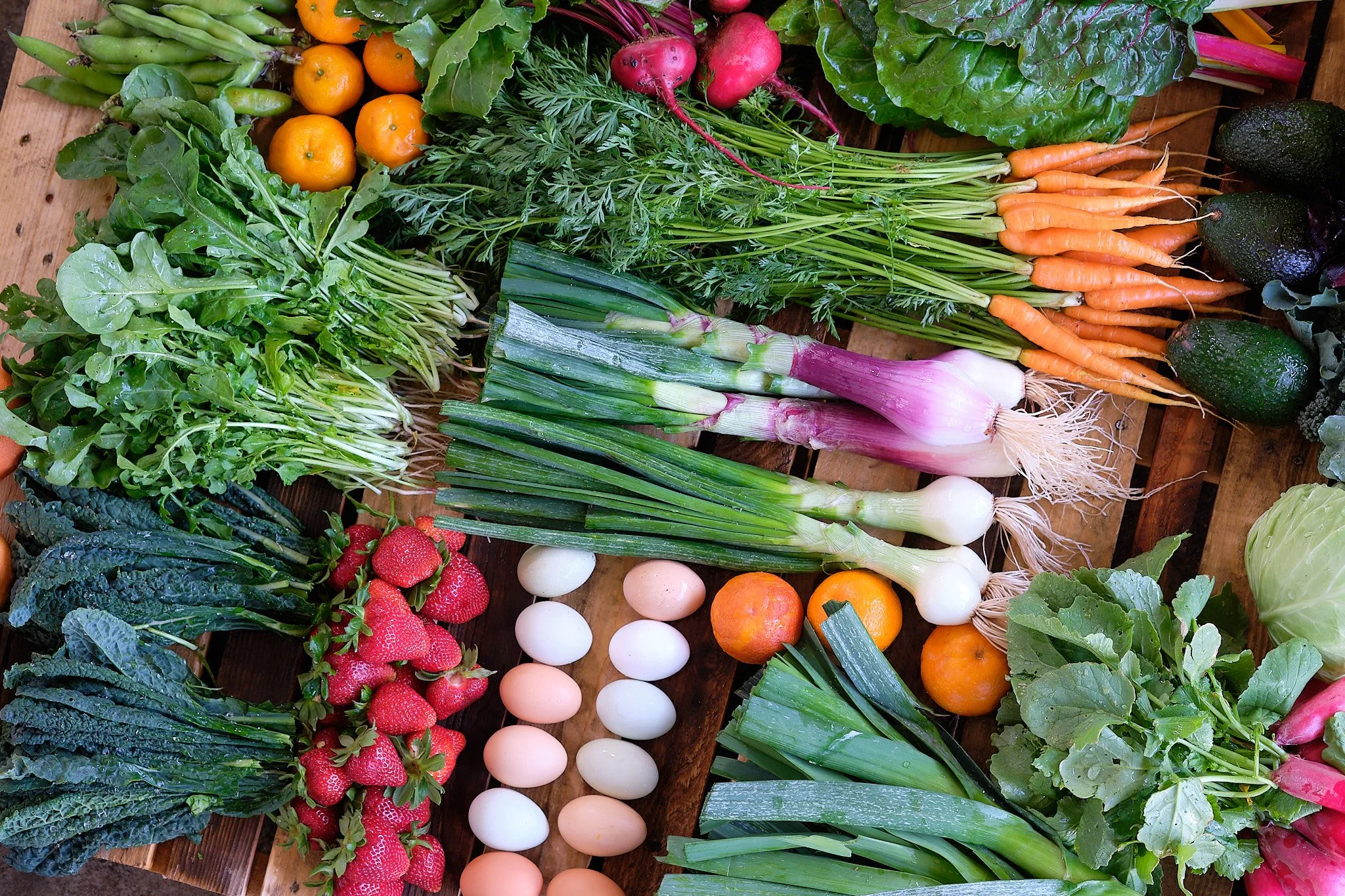 About — Stehly Farms Organics