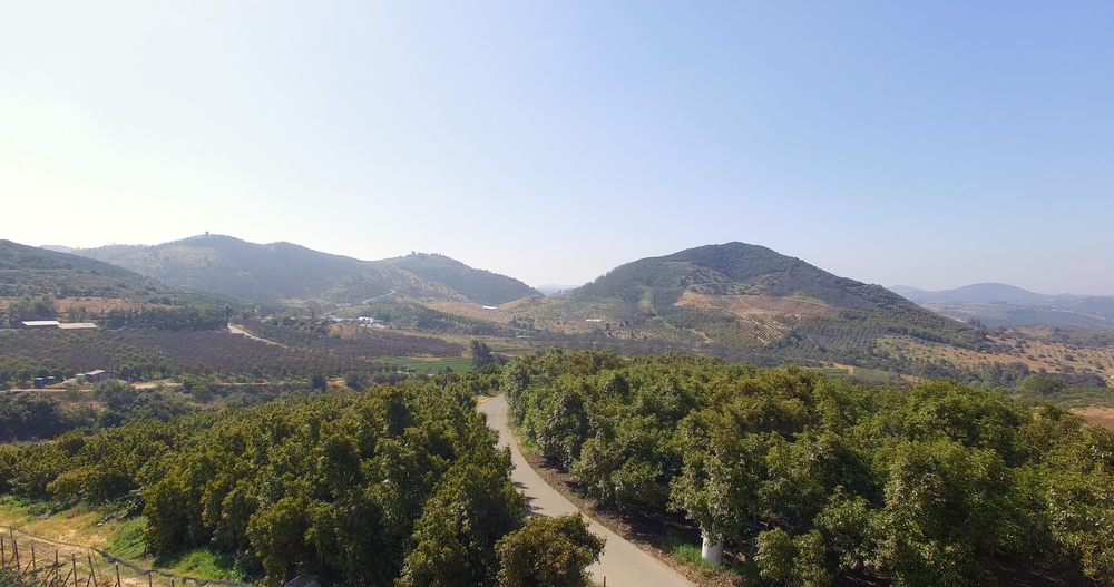 About — Stehly Farms Organics