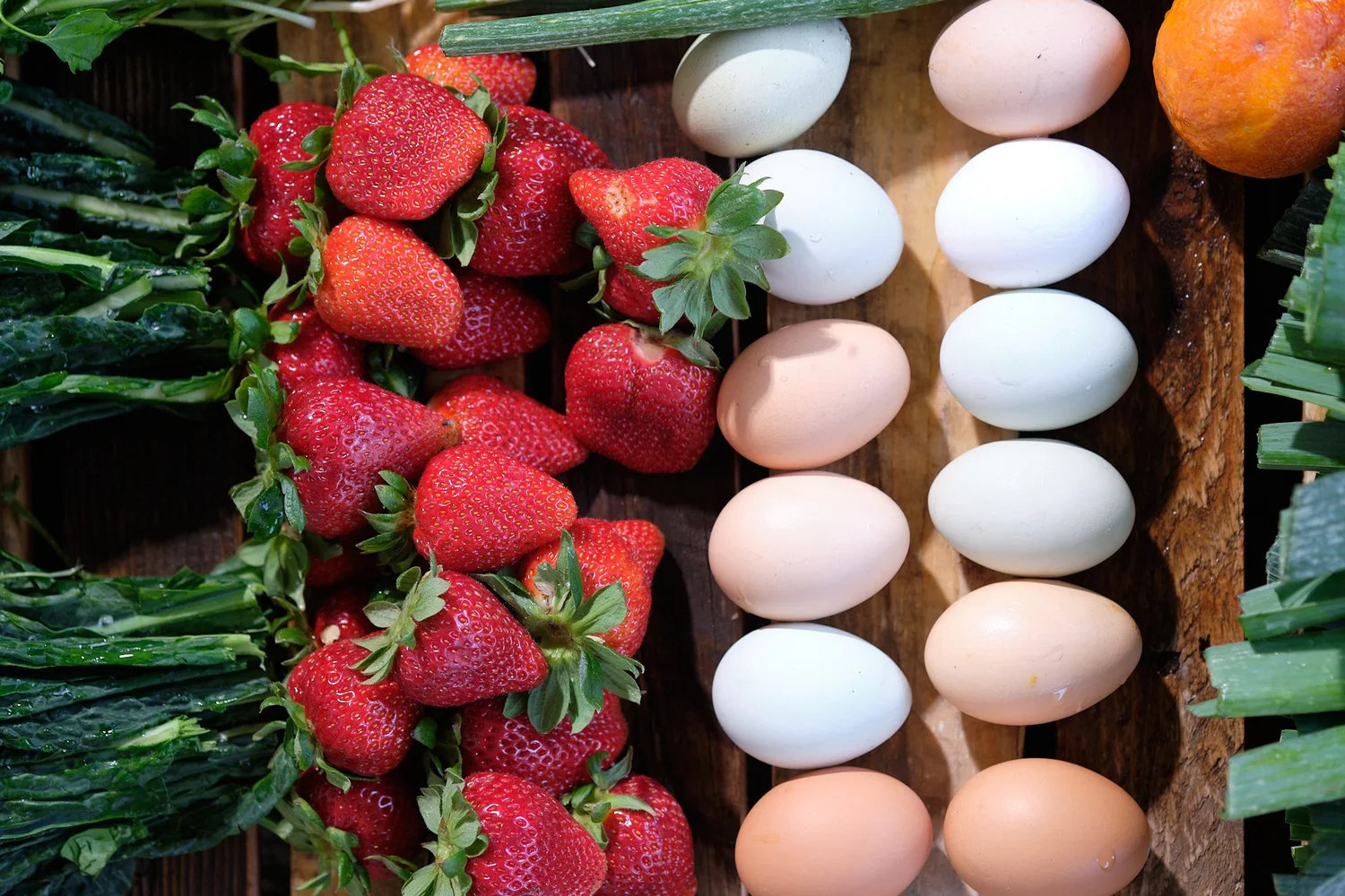 About — Stehly Farms Organics