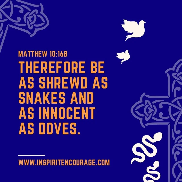 Session 5: Matthew 8-10 — InspiritEncourage