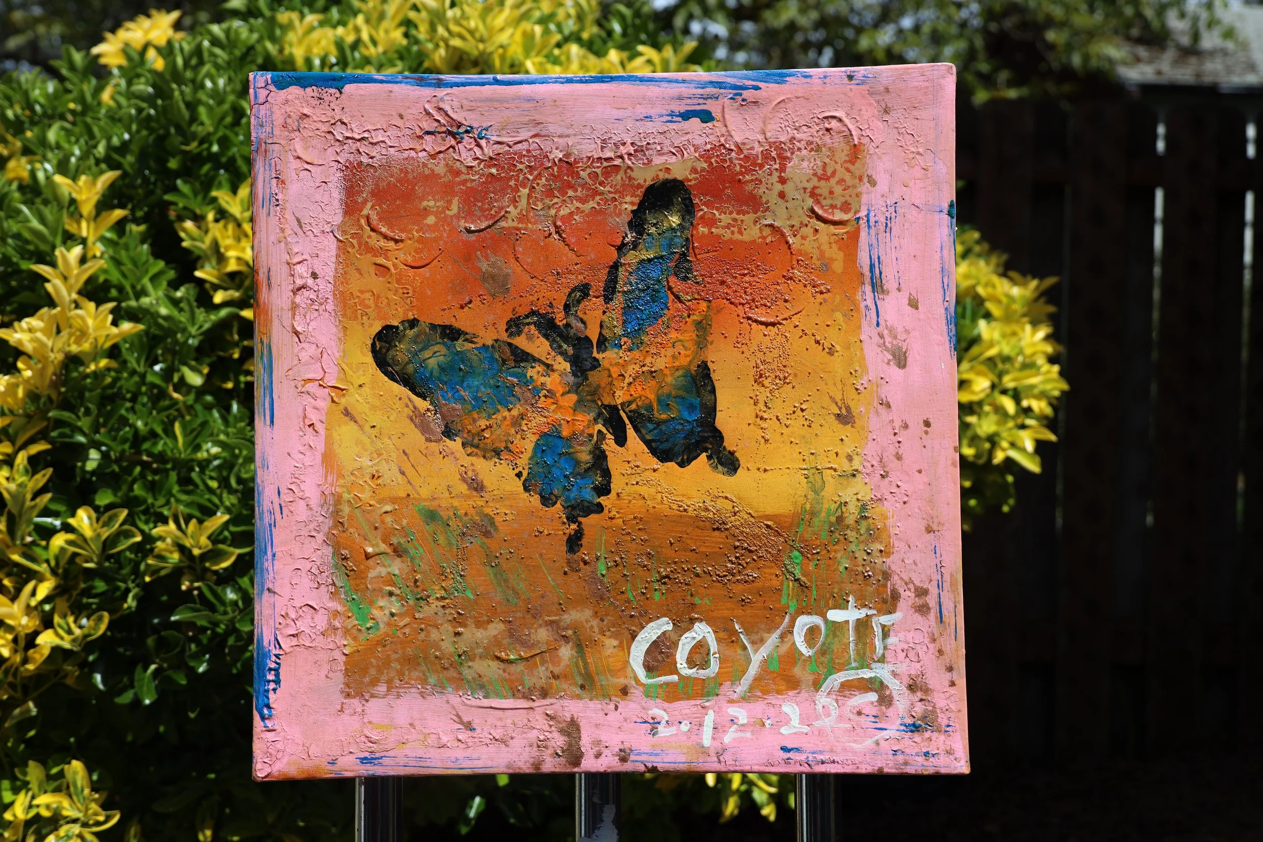 Butterfly — Coyote Insight Art