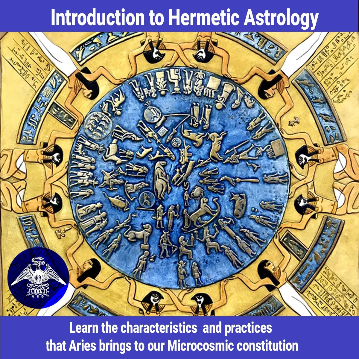 Activities — Gnostic Institute Of Anthropology