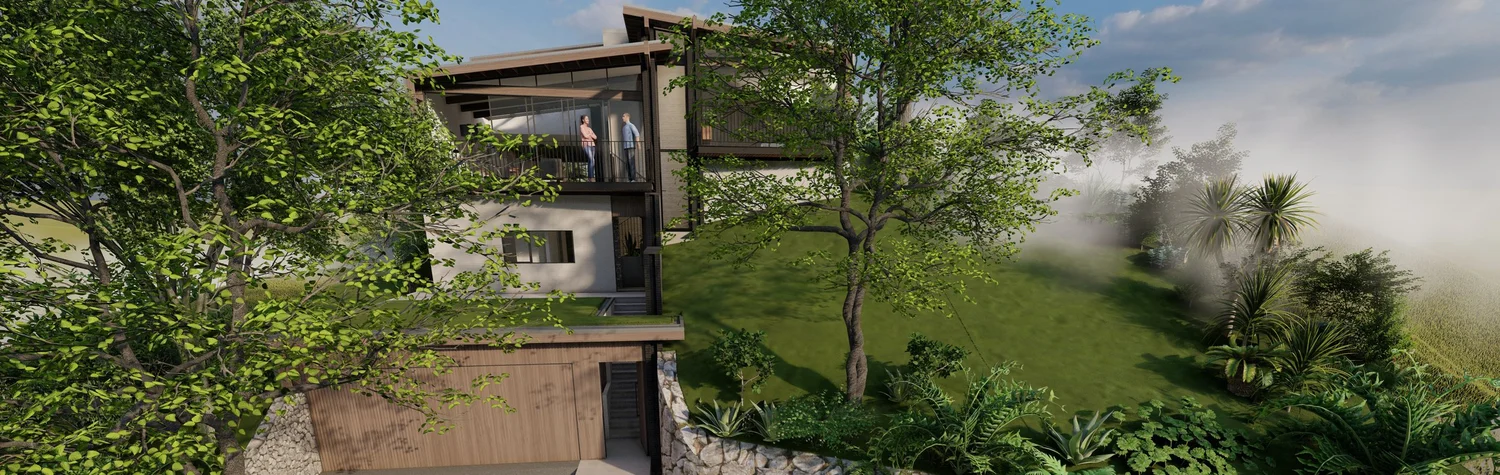 Expanding The View — Danny Bank Architecture - Projects