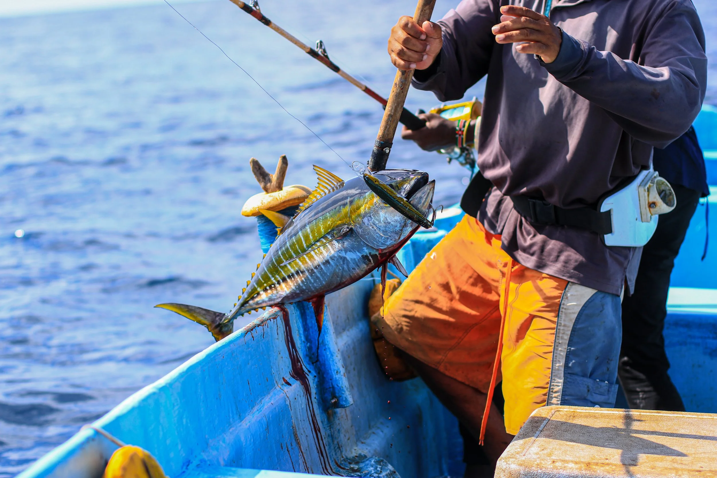 Kumbatia | Premium Artisan Seafood