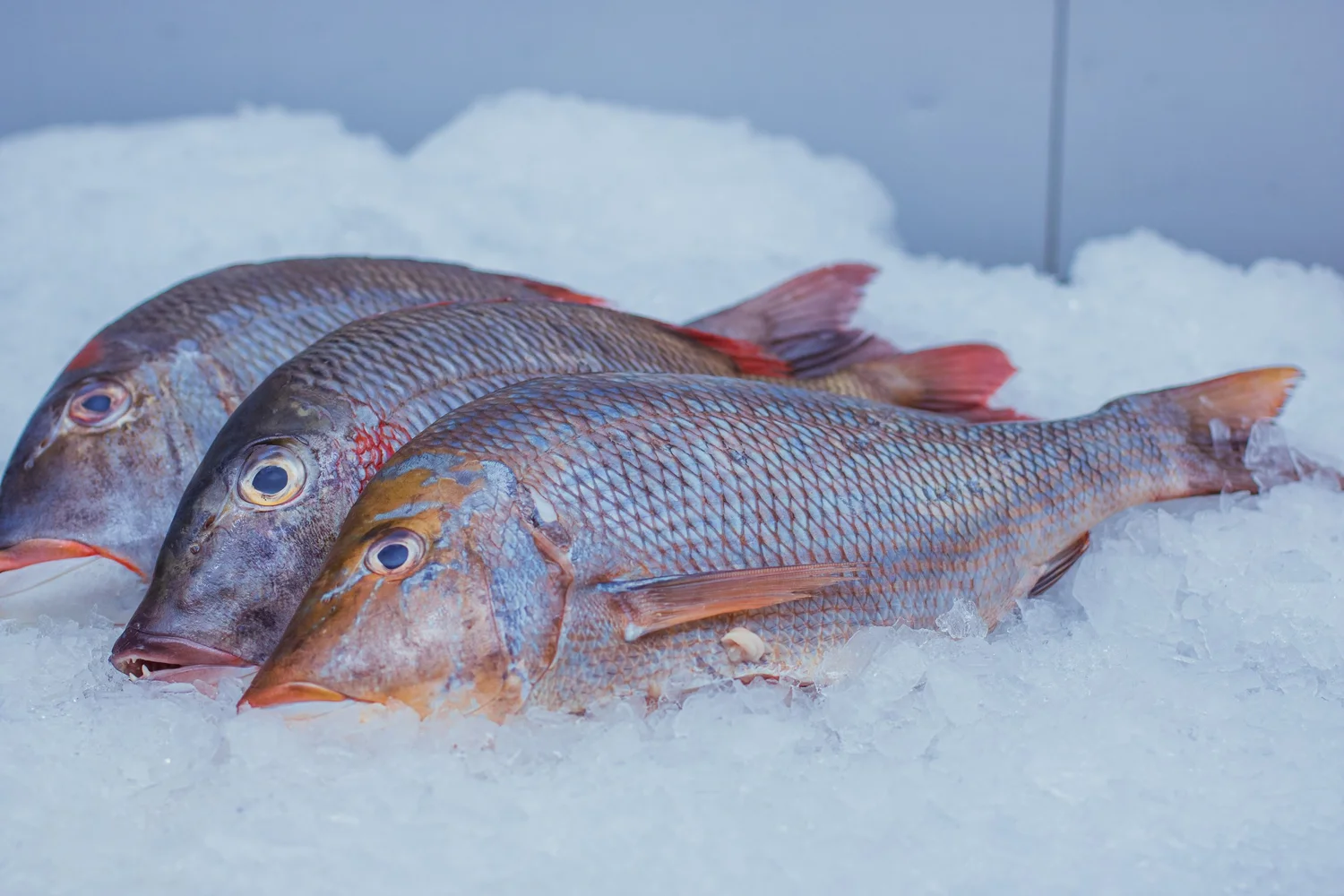 Products | Kumbatia Seafood