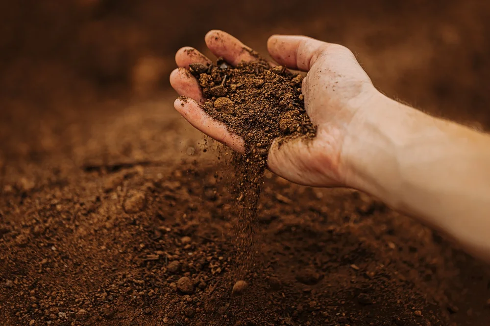 Services 3 — Wholesale Landscape Materials