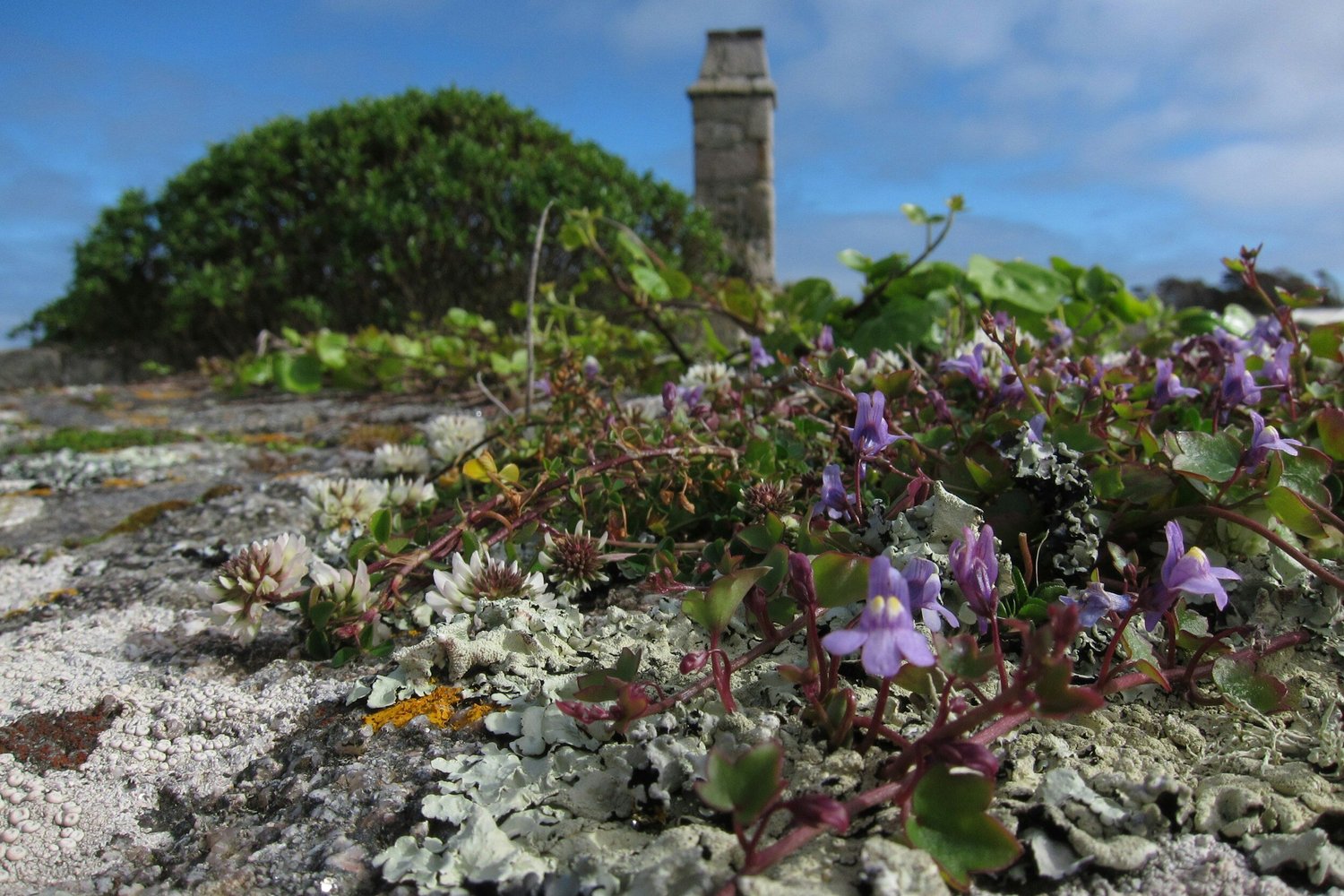 Isles of Scilly Cultural Centre and Museum