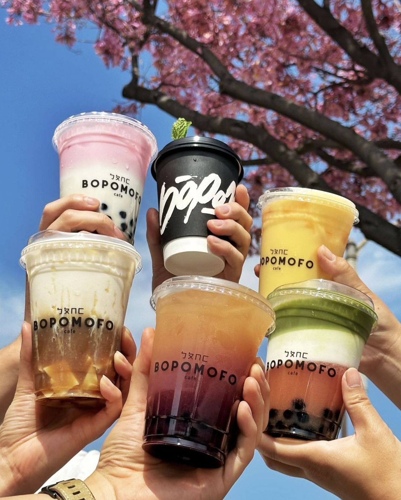 BOPOMOFO Cafe — Ovation Hollywood