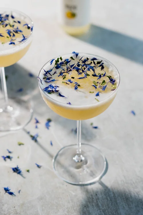 sparkling yuzu sour. — michelle mcglinn