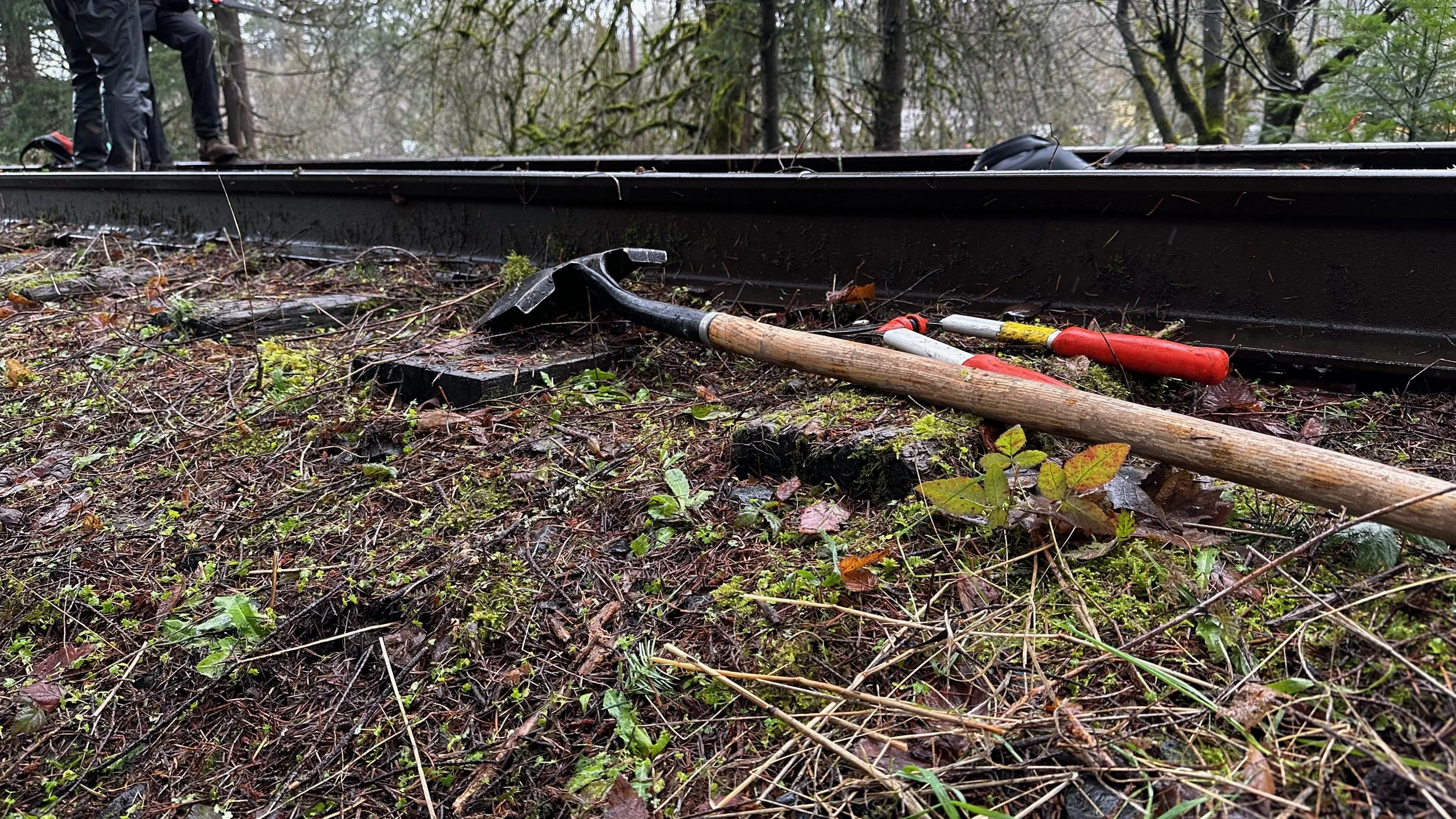 SbT Update — The Salmonberry Trail