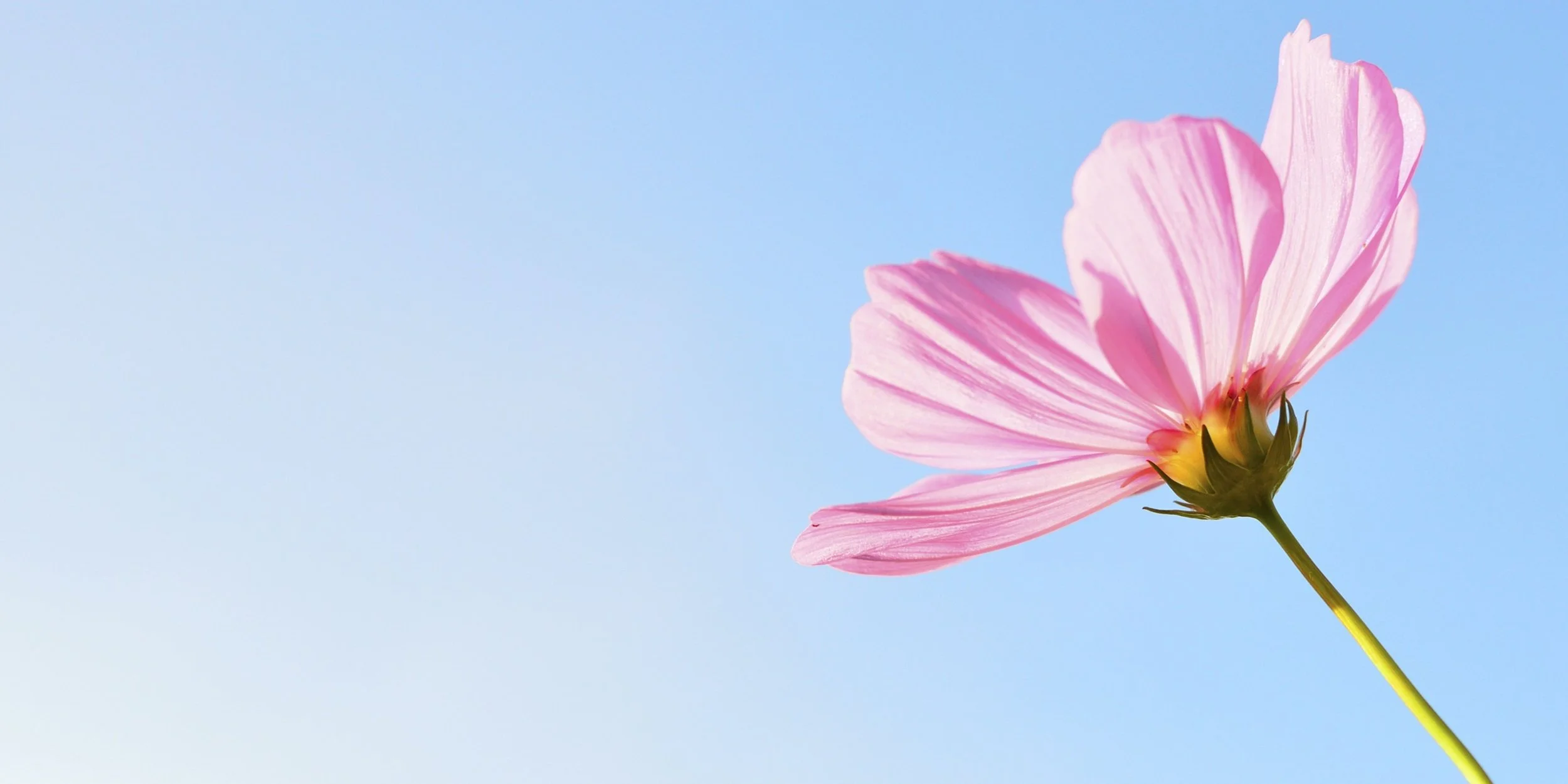 Poppy Smith, Speaker and Author — Poppy Smith