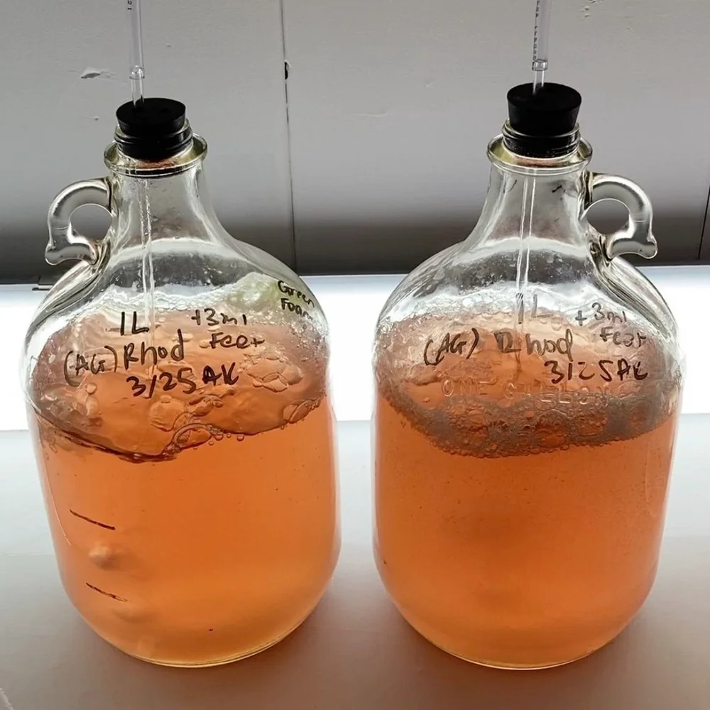 Laboratory — Sunflower Star Laboratory