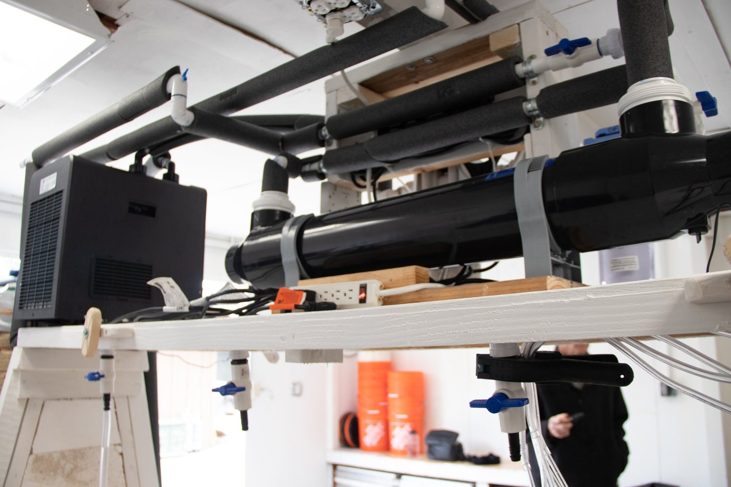 Laboratory — Sunflower Star Laboratory