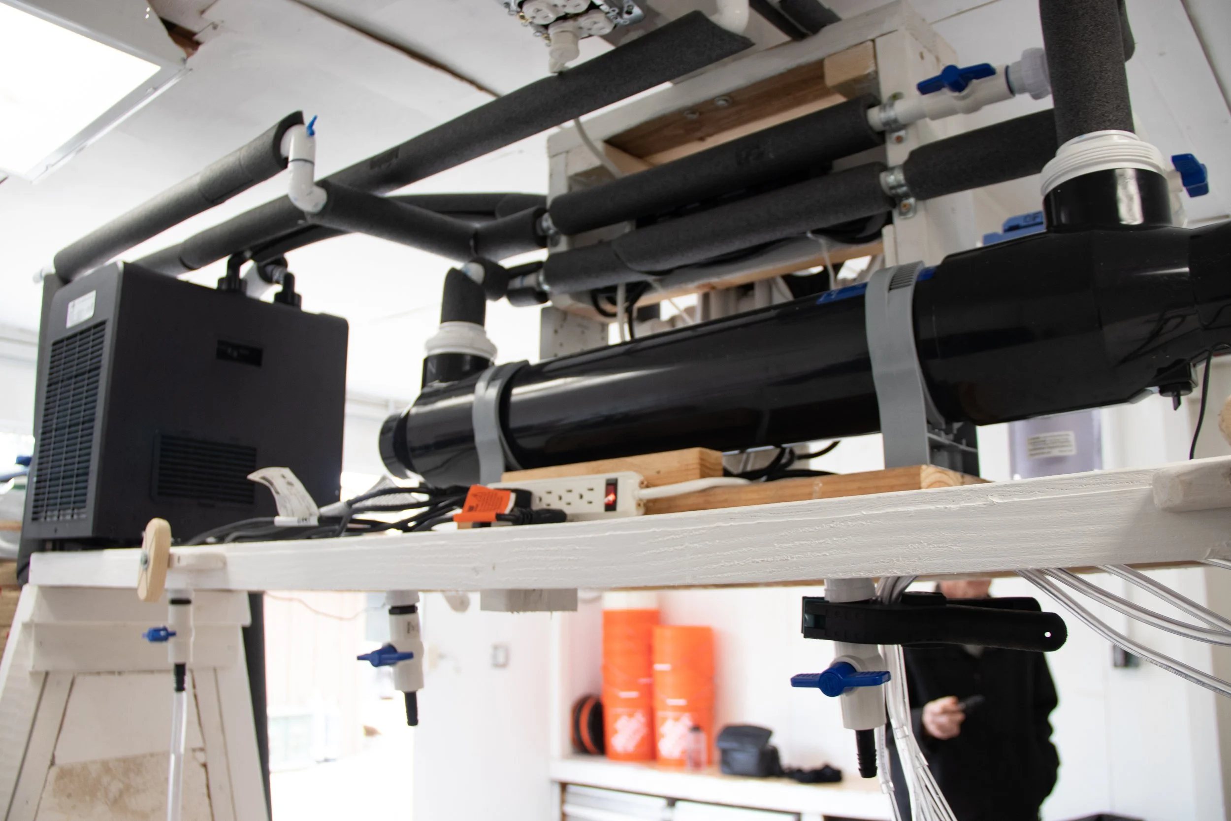 Laboratory — Sunflower Star Laboratory