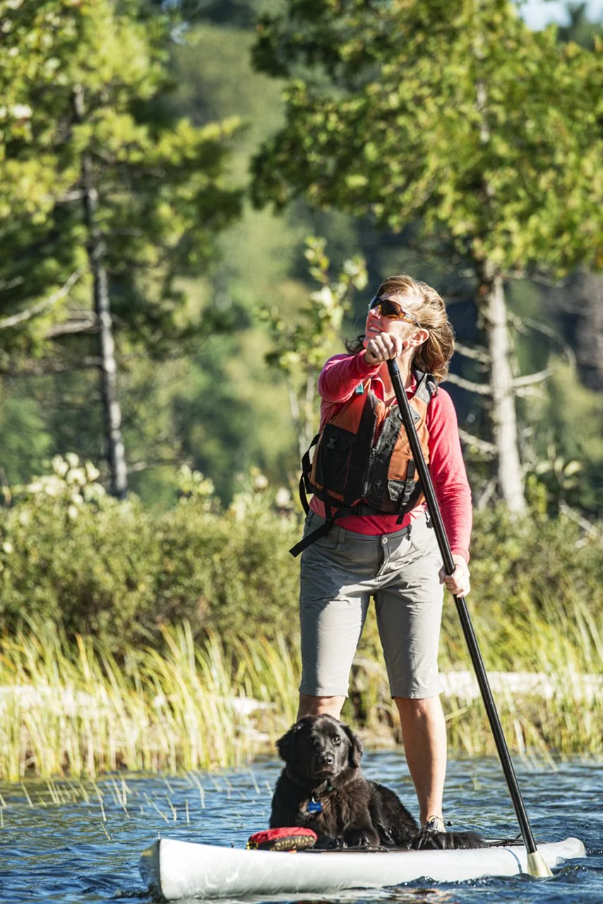Muskoka, Lake of Bays Paddle Boarding | Safari & Company