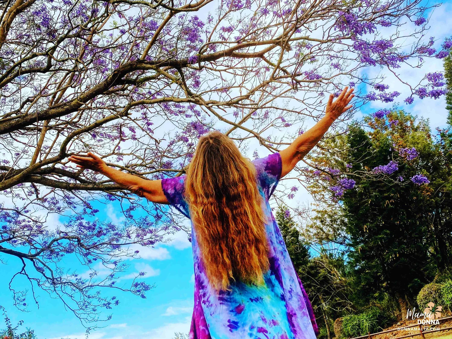 The Soulution Mindset — Donna Maltz