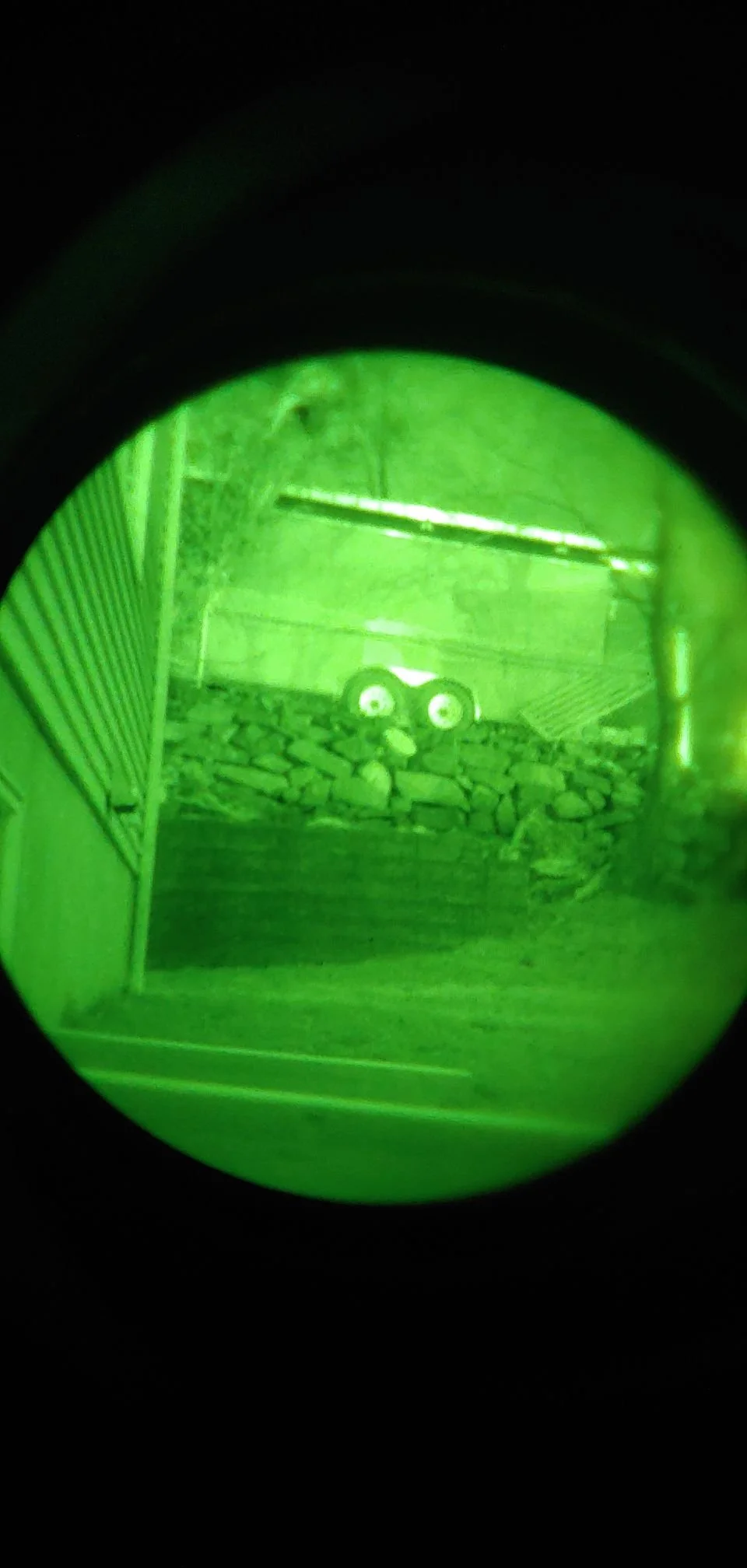 Night Vision — Carlough Manufacturing