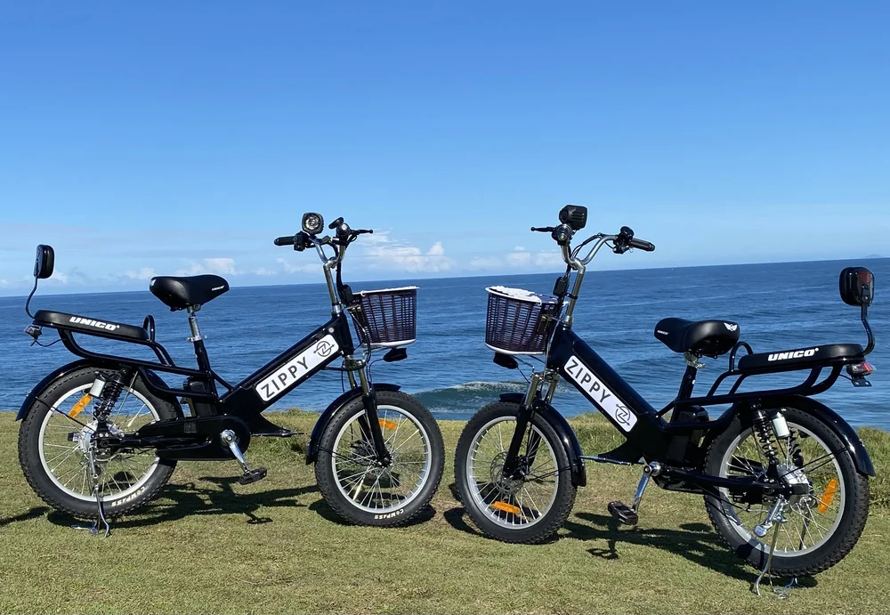 Zippy E Bikes: Electric Bikes Online